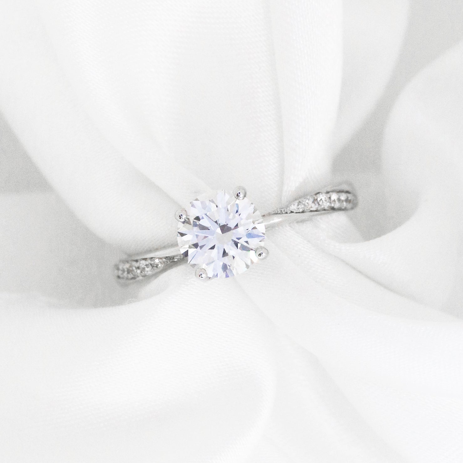 Carnation Eternity – Patrea Jewelry